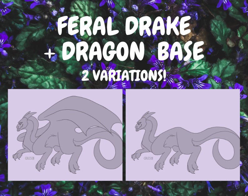 Feral Drake and Dragon Base for Adopts or Ref Sheets PSD - Etsy