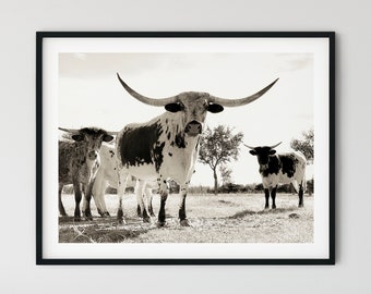 Majestic Longhorn Cow in Misty Field - Rustic Western Wall Art ...