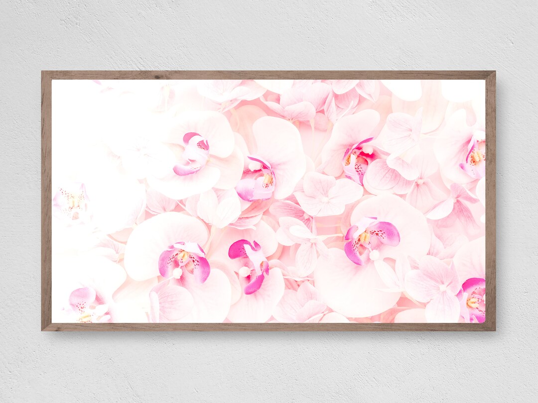Pink Orchids, Samsung Frame TV Art, Instant Download, Orchids, Frame TV ...