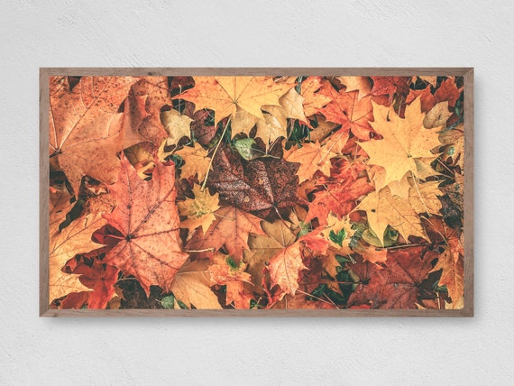 Samsung Frame TV Art Leaf Colors on Display Instant | Etsy