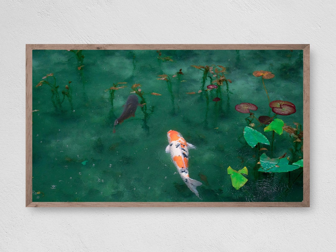 Samsung Frame TV Art, Instant Download, Calming Koi Pond, Frame TV Art ...