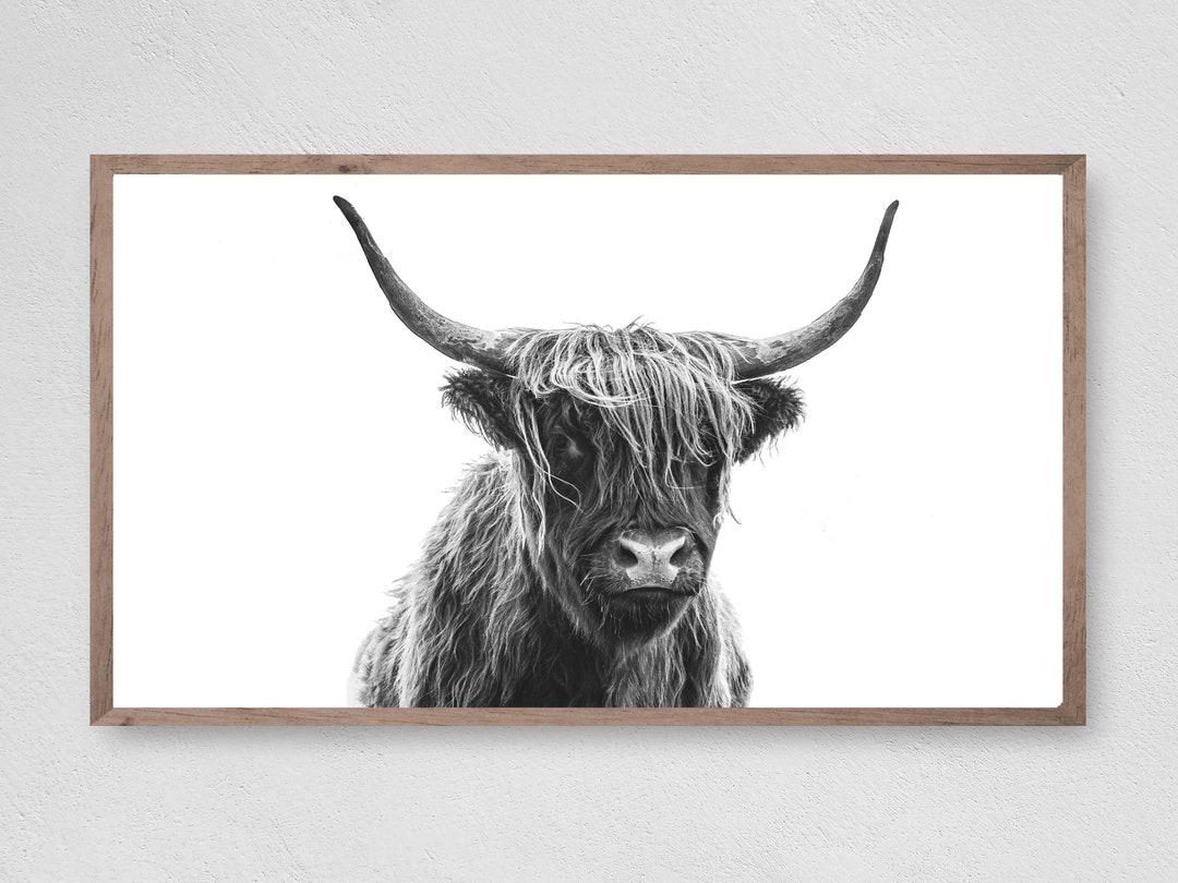 Highland Cow Portrait, Farmhouse Frame TV Art (instant Download) - Etsy