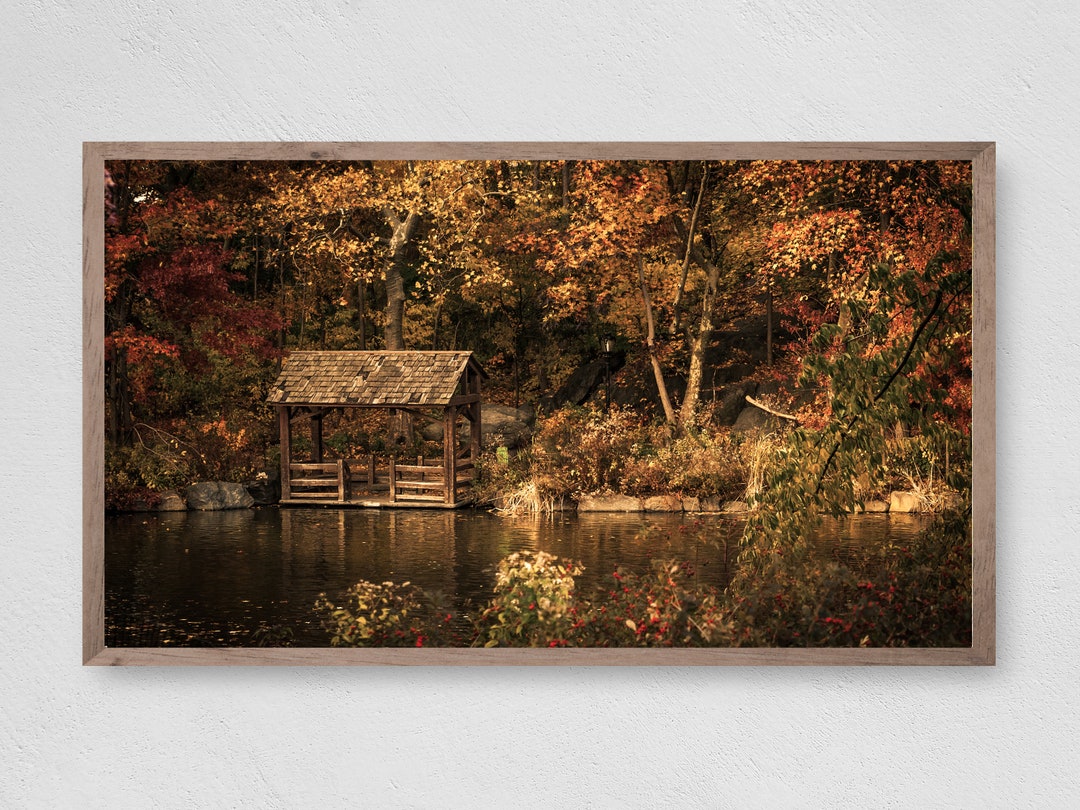 Fall Stream, Samsung Frame TV Art, Instant Download, Fall, Leaves ...