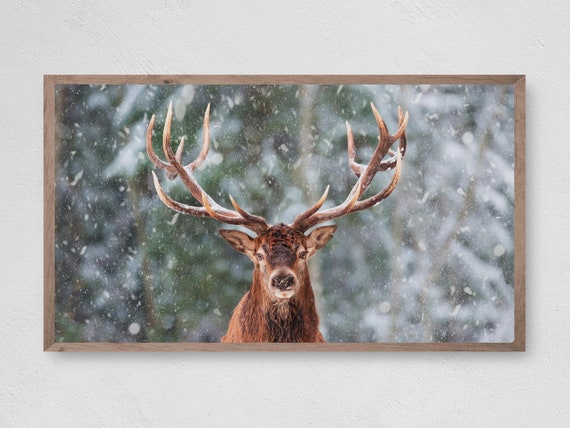 Winter Reindeer Samsung Frame TV Art Instant Download - Etsy