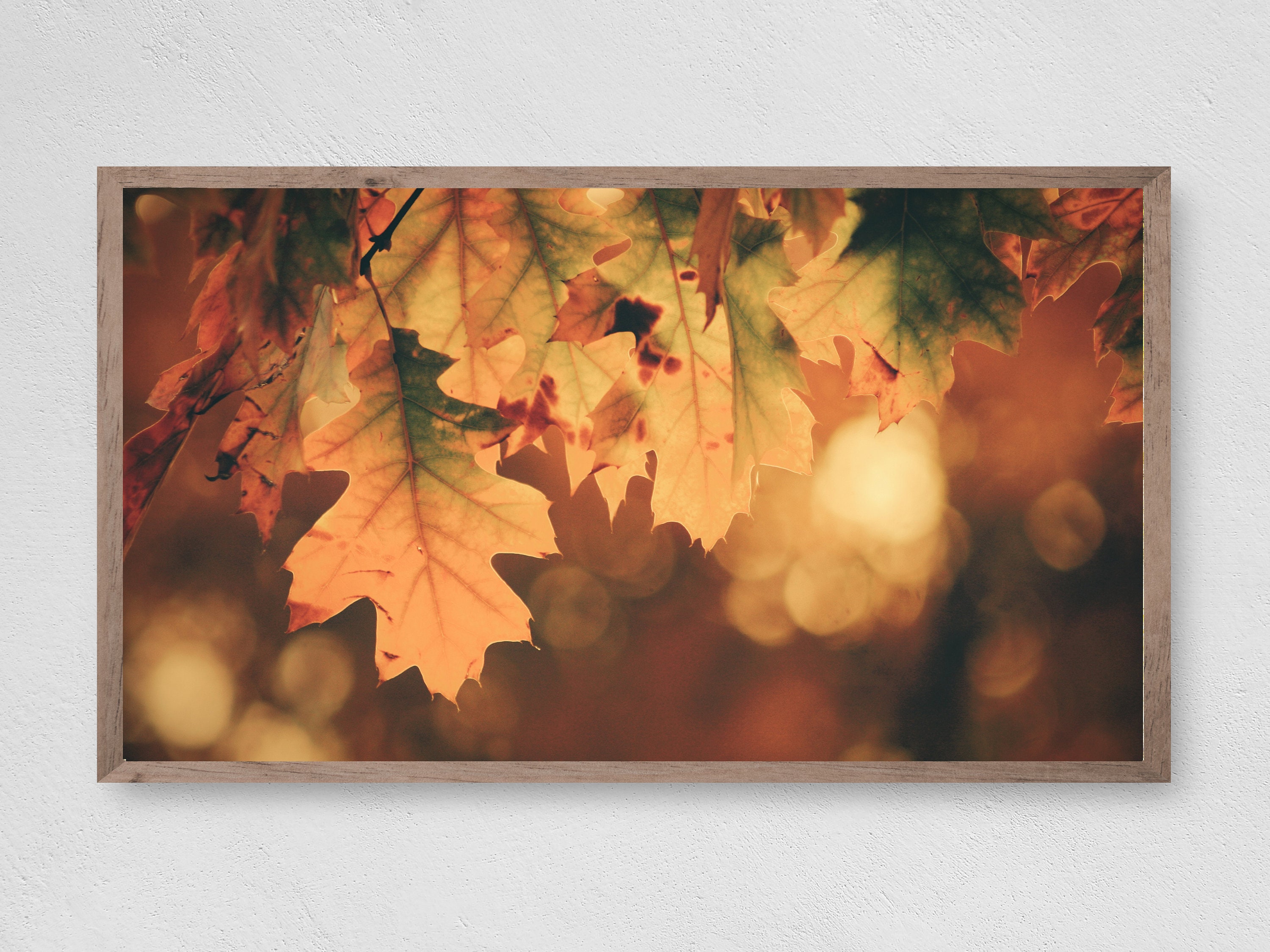 Draping Fall Leaves, Samsung Frame TV Art (digital Download) - Etsy