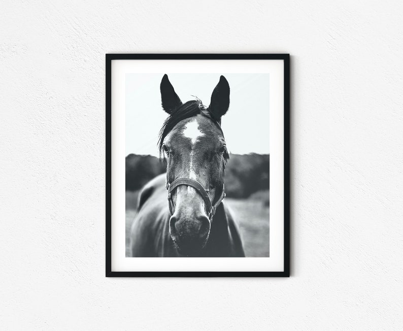 Horse Print Printable Rustic Wall Decor Ranch Print Farm | Etsy