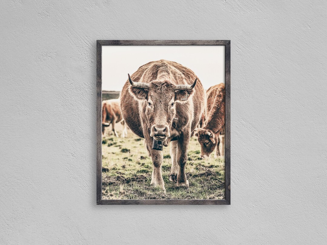 Cow Print, Printable, Rustic Wall Decor, Ranch Print, Farm Print ...