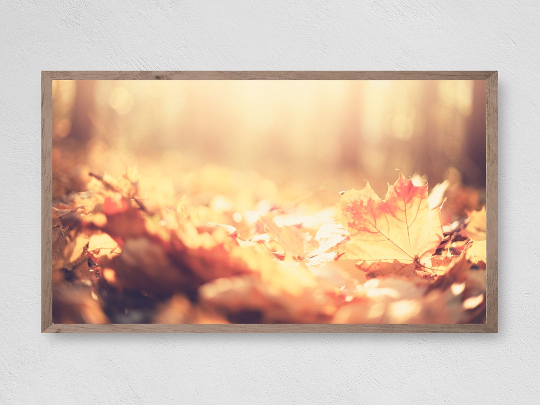 Fall, Samsung Frame TV Art, Instant Download, Fall, Leaves, Frame TV ...