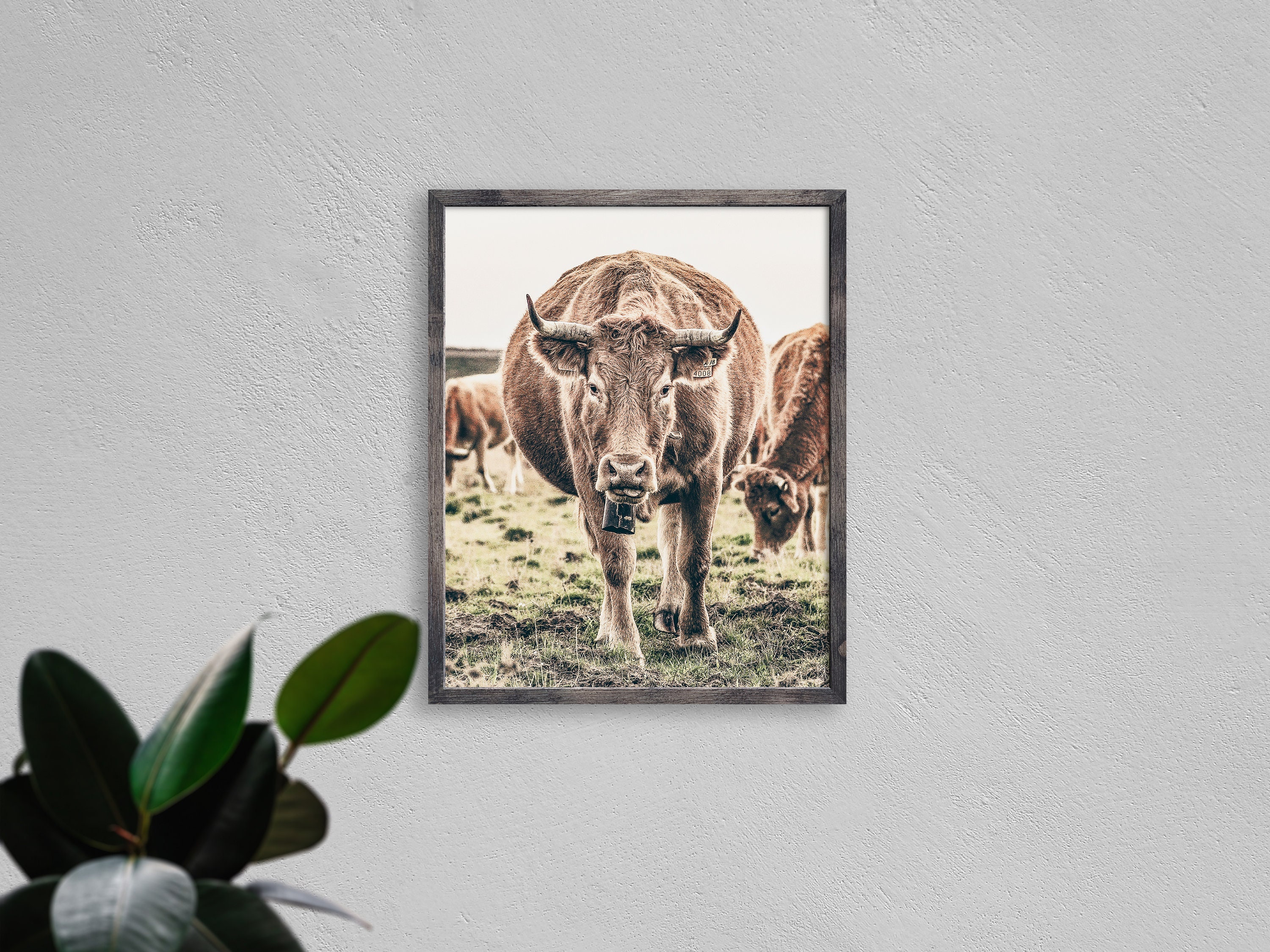 Cow Print Printable Rustic Wall Decor Ranch Print Farm - Etsy