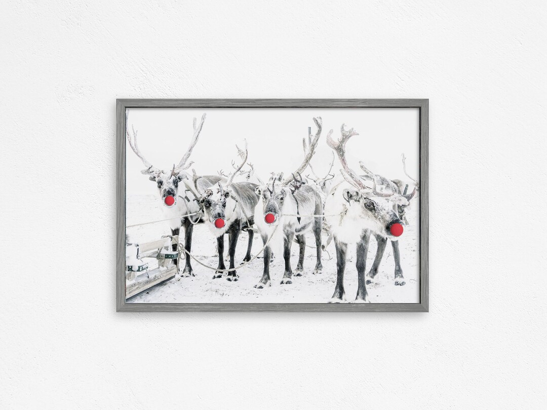 Rudolf Fan Club Print, Printable, Christmas Wall Decor, Winter Print ...