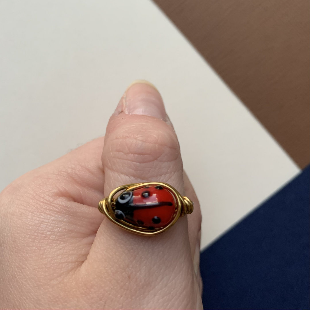 Ladybug Wire Wrapped Ring/Miraculous Ladybug Ring/Cat Noir/ | Etsy