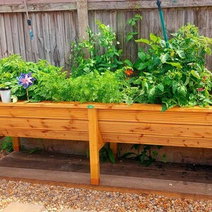 Vegetable Trug Planter, Heavy Duty, Solid Treated Planters ...