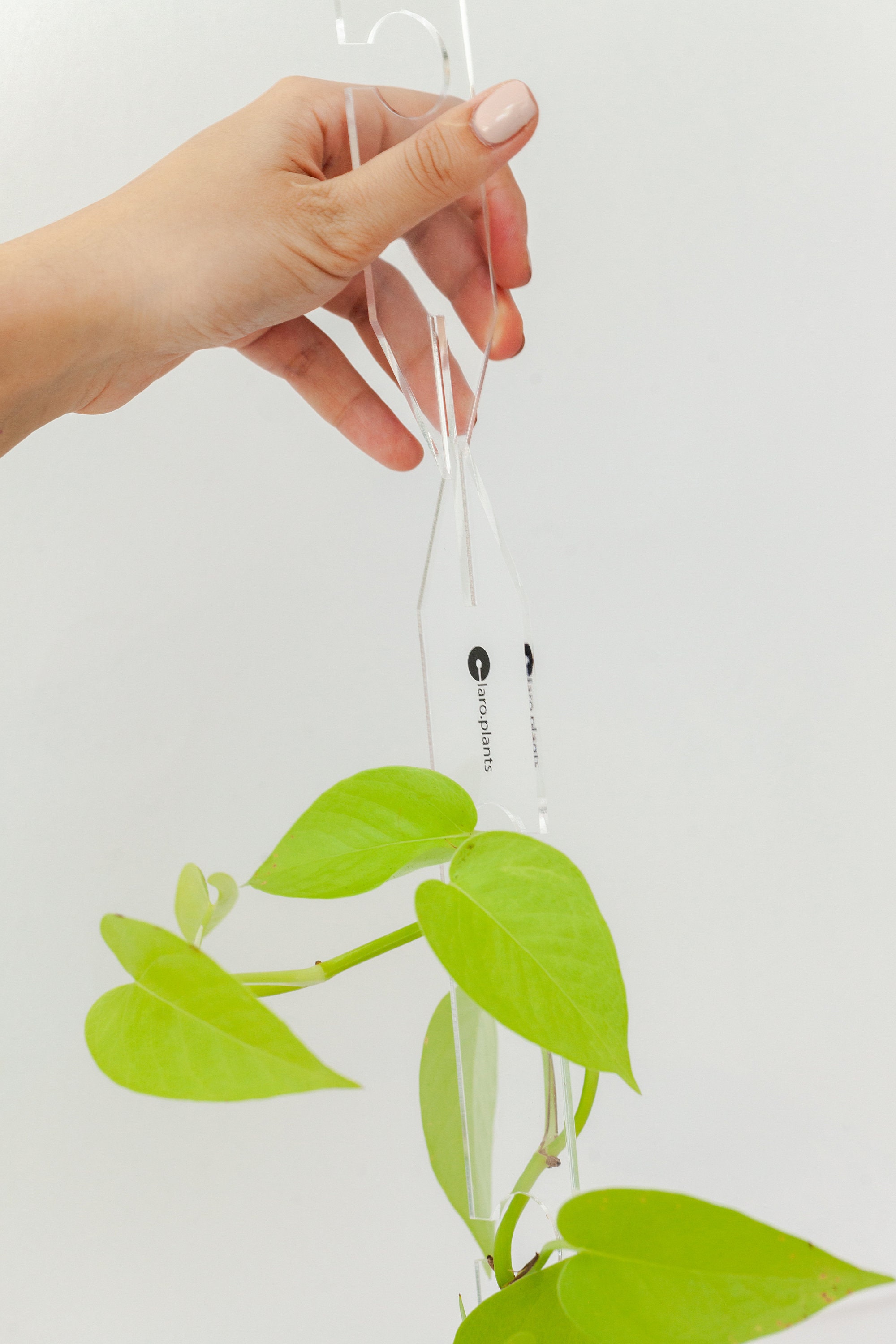 Plant Stake, Plant Support, Plant Gift, Trailing Plants - Etsy
