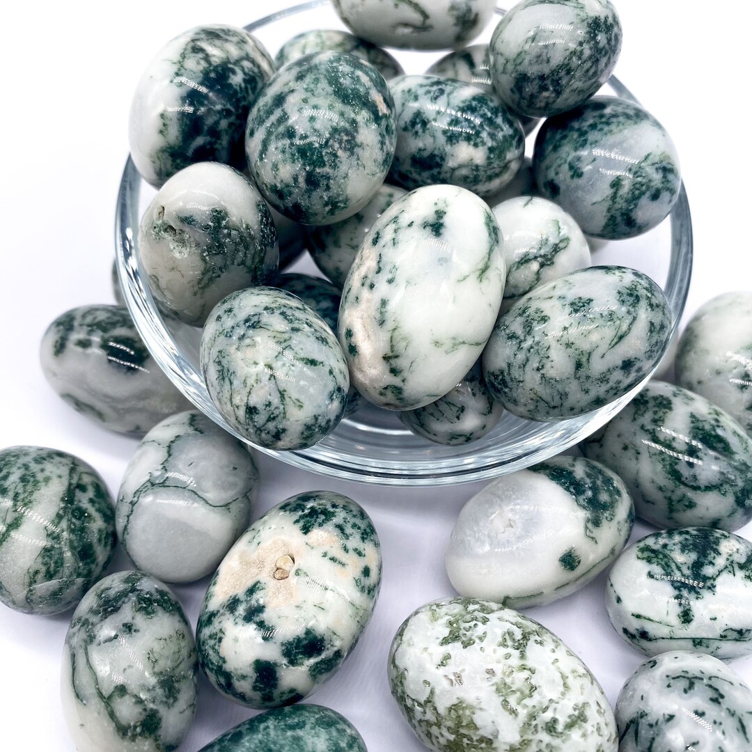 Tree Agate Tumbled Stone - Etsy