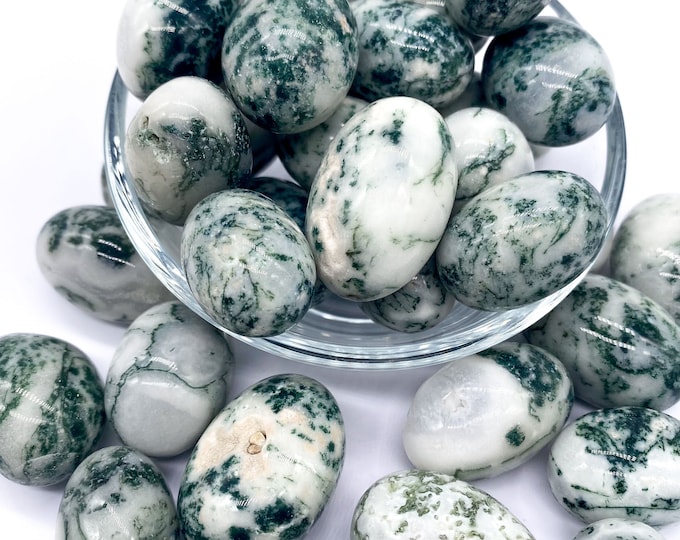 Tree Agate Tumbled Stone - Etsy