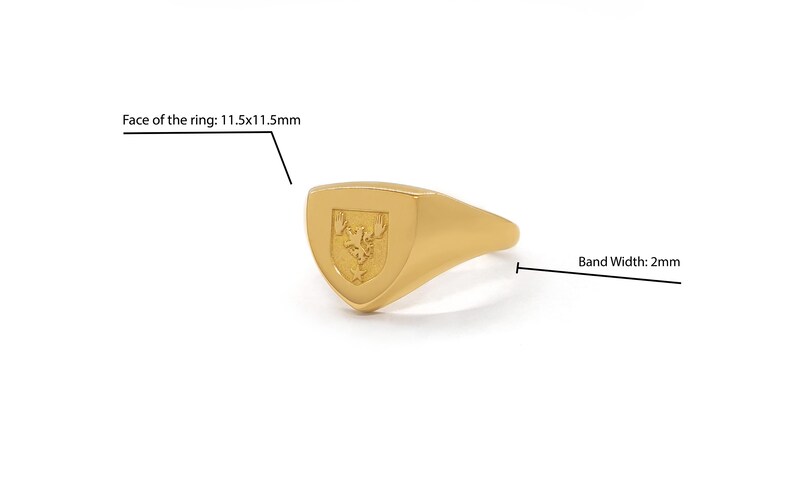 Personalized Shield Signet Ring in Solid Gold Unisex Solid - Etsy