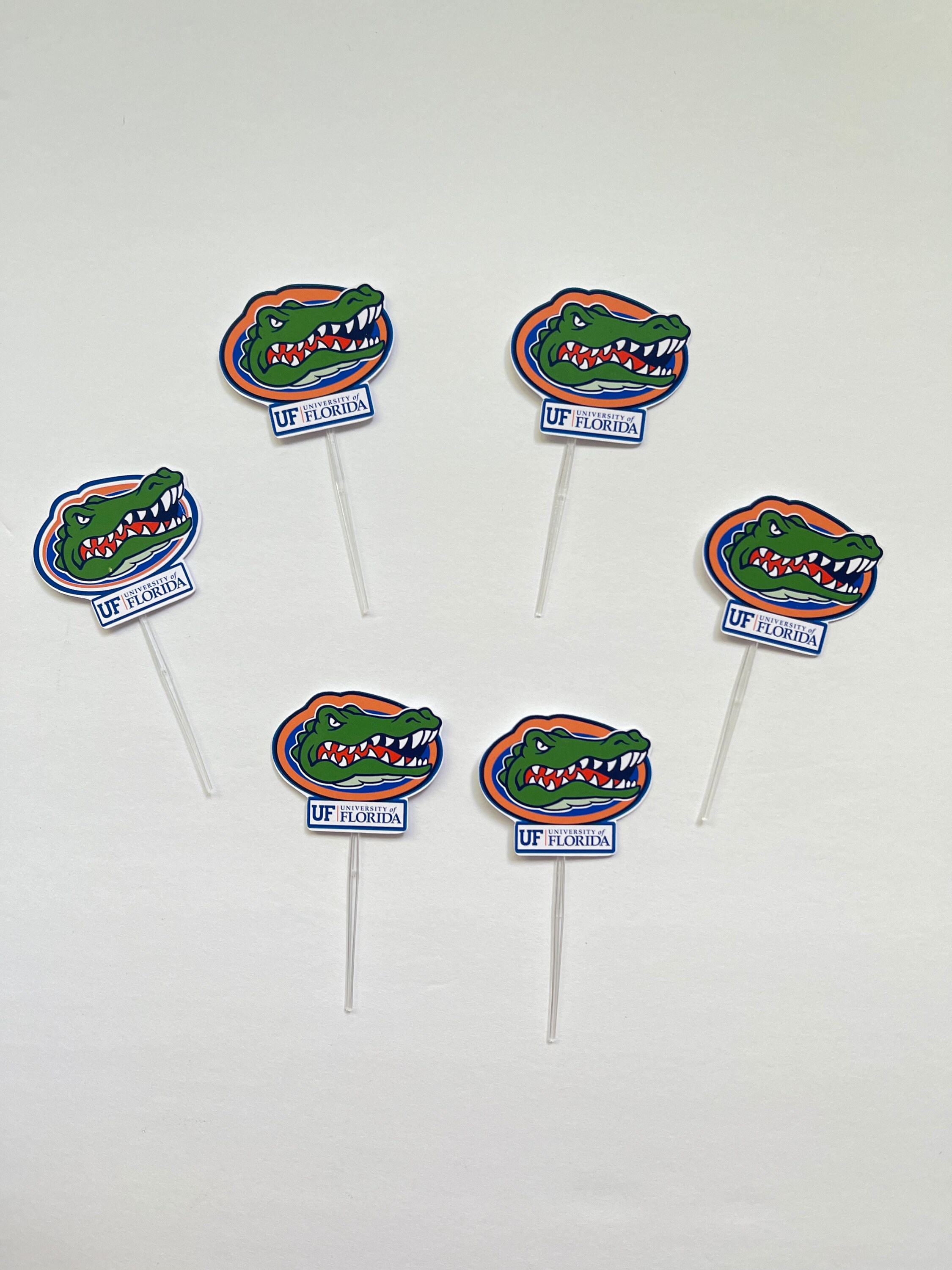 University of Florida Cake Topper Graduation Cake Topper | Etsy