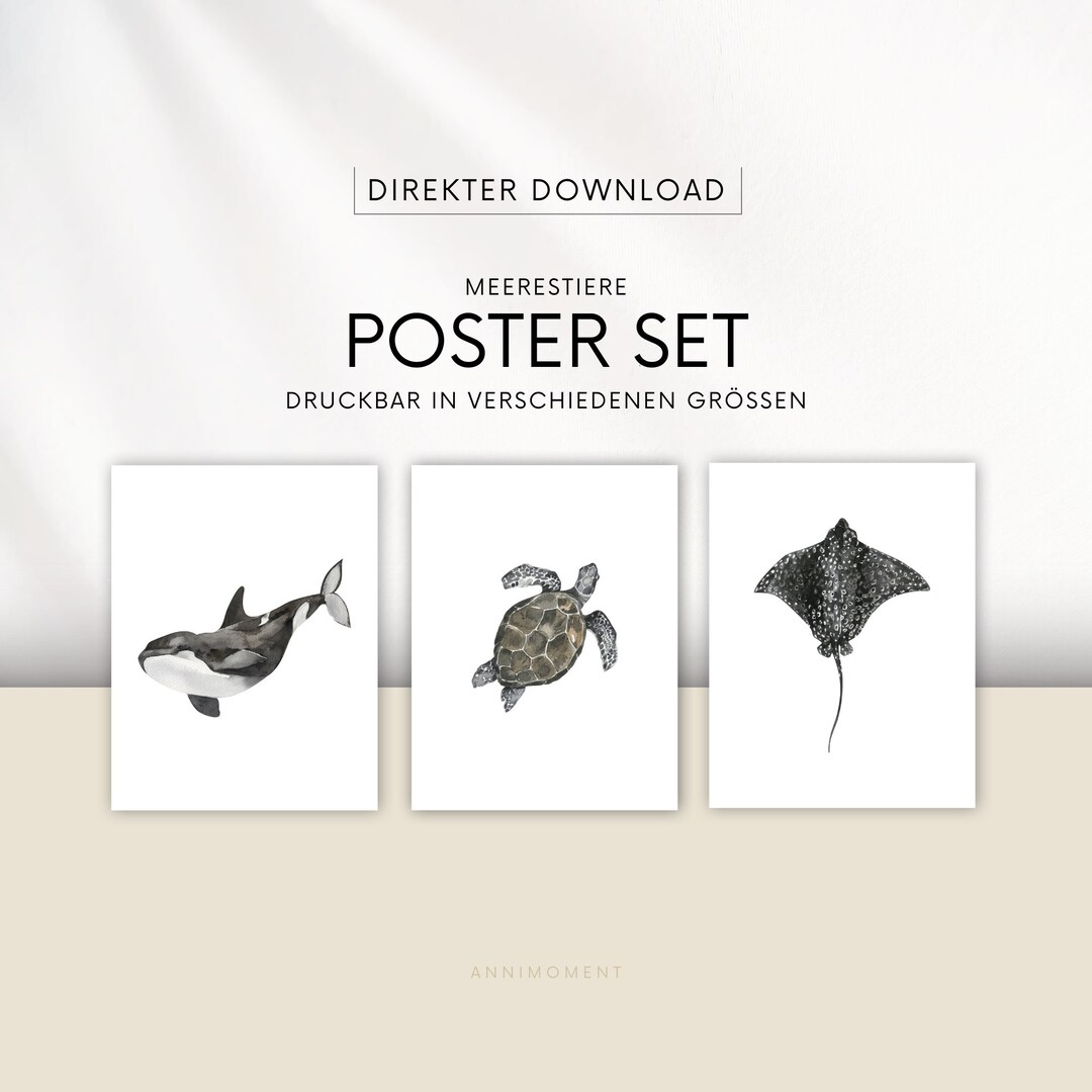 Children's Room Poster sea Animals From the Sea Animal Poster Wall ...