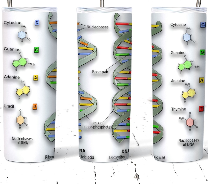 3D DNA & RNA Tumbler Wrap Design Png 20oz Skinny Tumbler Sublimation ...