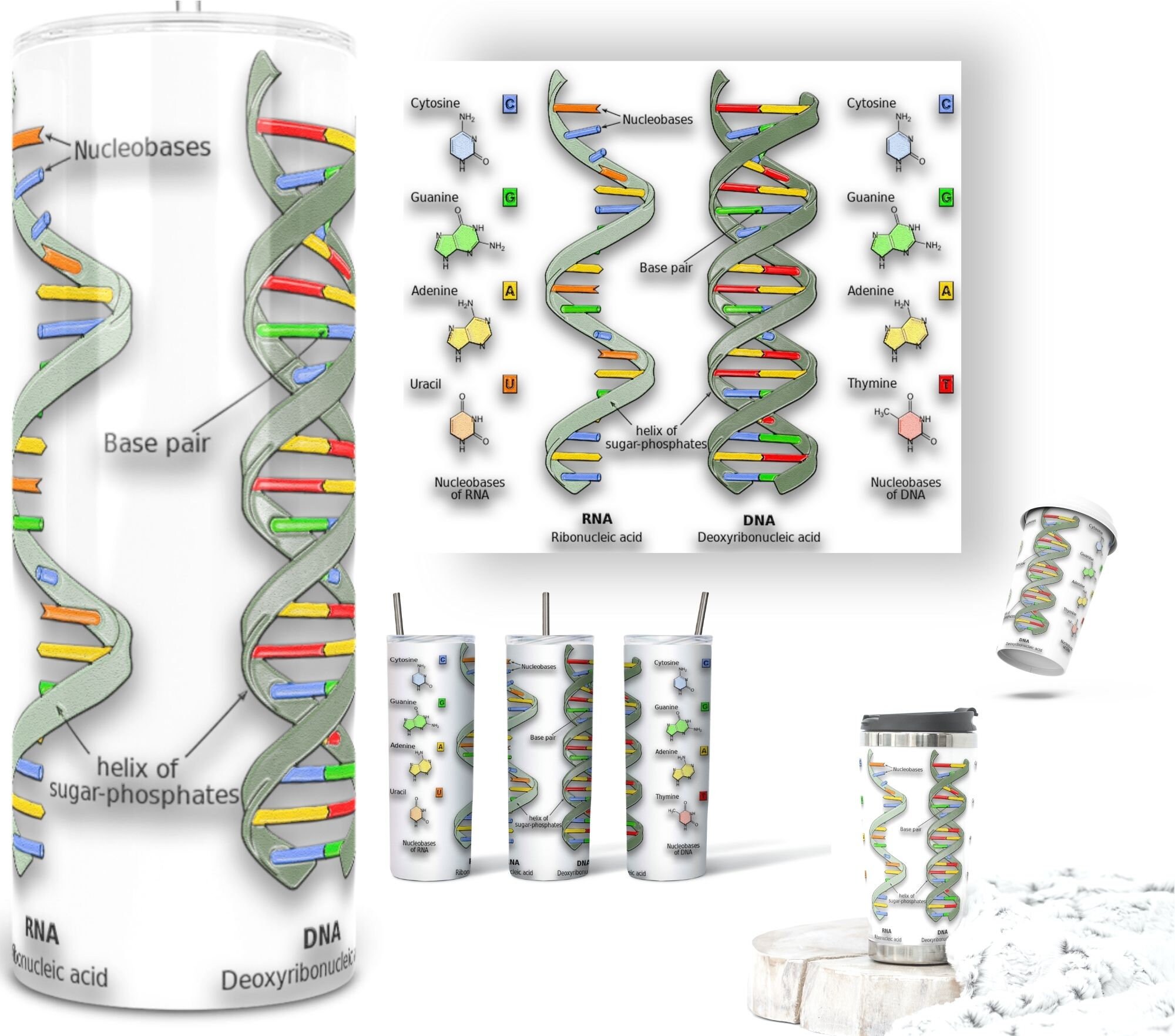 3D DNA & RNA Tumbler Wrap Design Png 20oz Skinny Tumbler - Etsy