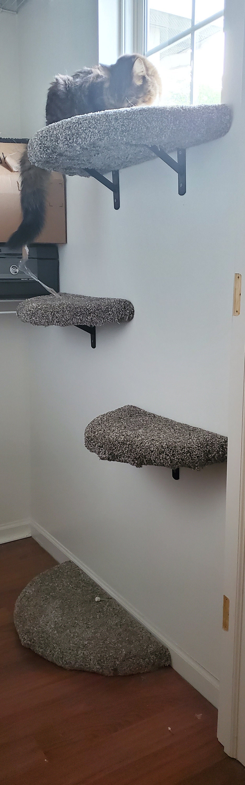 Floating Cat Shelves - Etsy