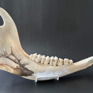Bugling Elk Painted Jaw Bone - Etsy