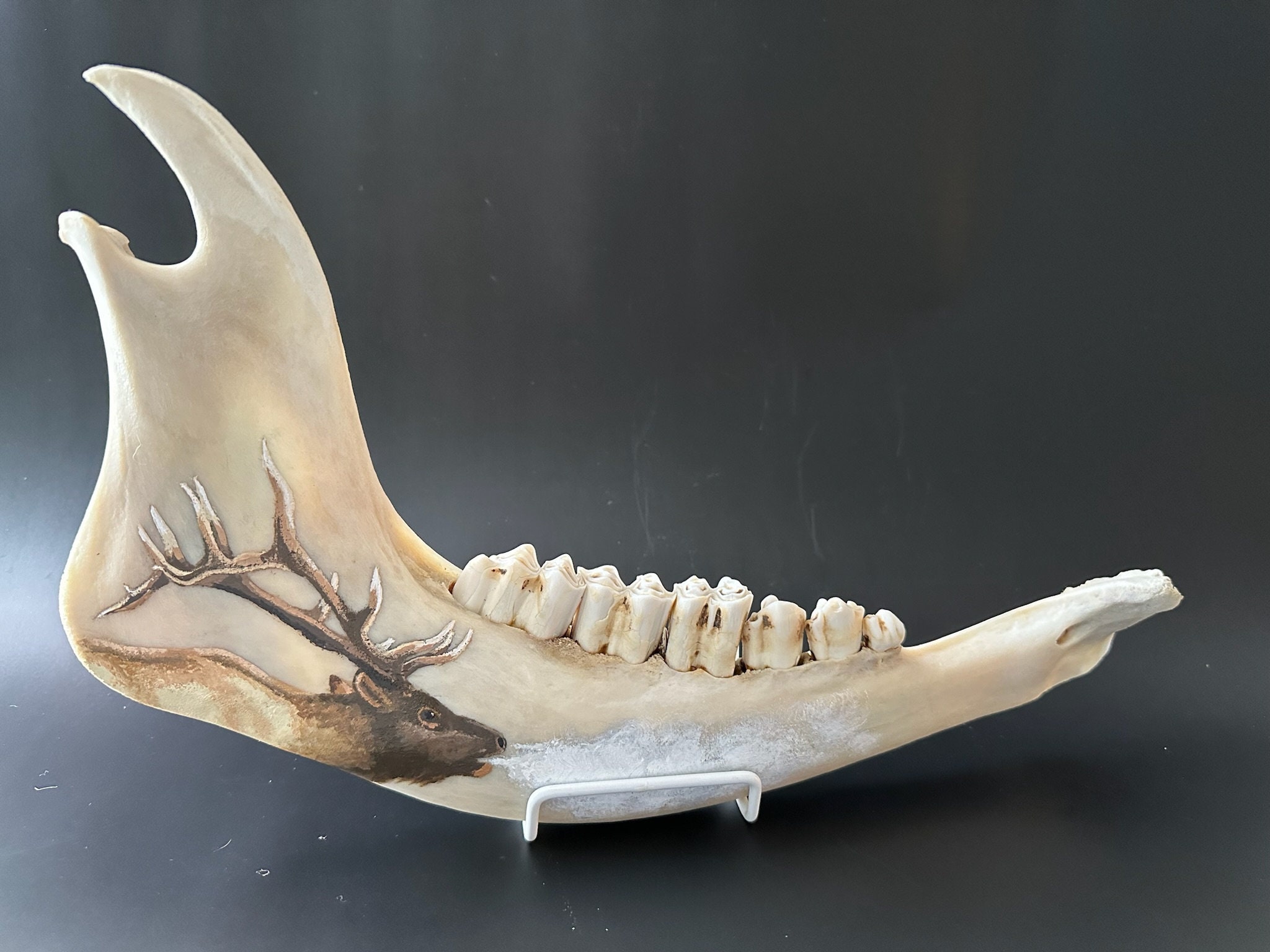 Bugling Elk Painted Jaw Bone - Etsy