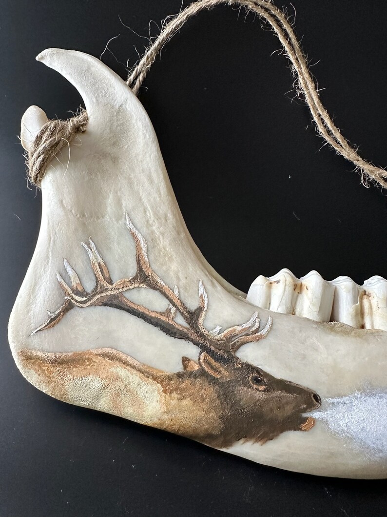Bugling Elk Painted Jaw Bone - Etsy
