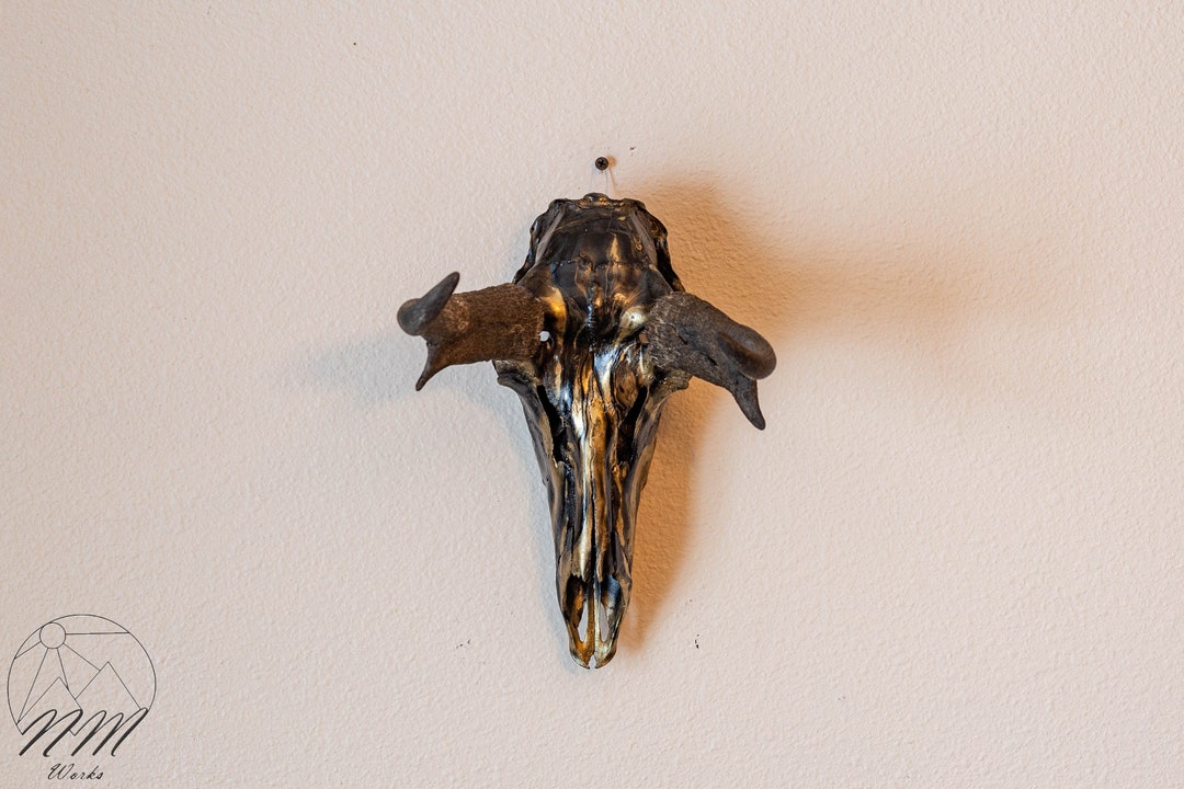 Hydro Dipped Antelope Skull - Etsy