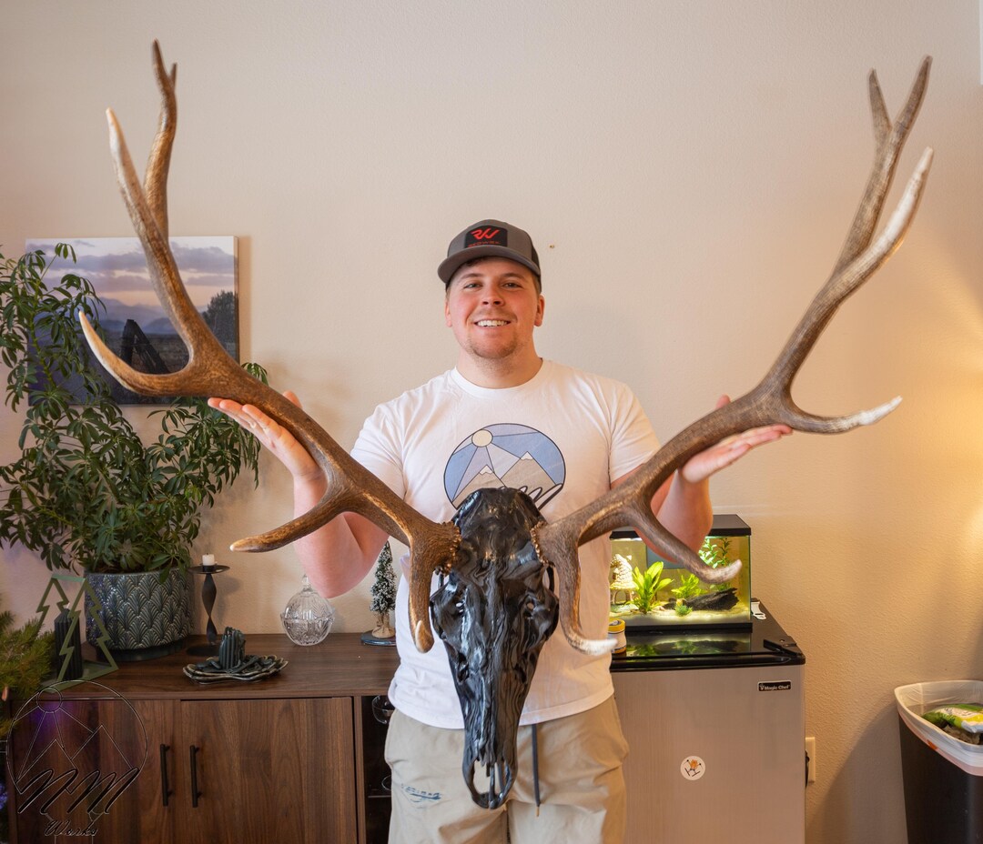 Hydro-dipped Bull Elk Skull LOCAL PICKUP ONLY - Etsy