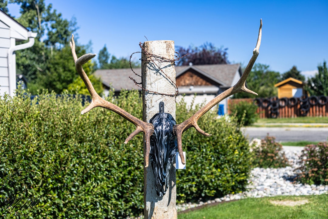 Painted Bull Elk Skull (LOCAL PICKUP ONLY) - Etsy