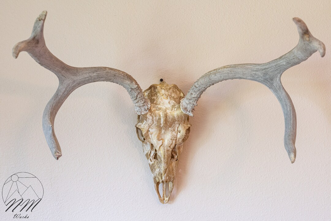 Painted Mule Deer Skull Wall Mount | Western Home Decor | Rustic Wall ...