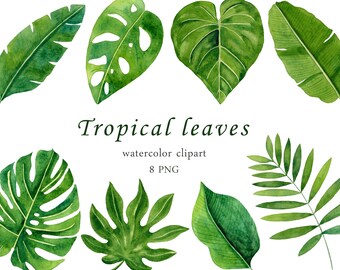 Tropical Clipart | Etsy