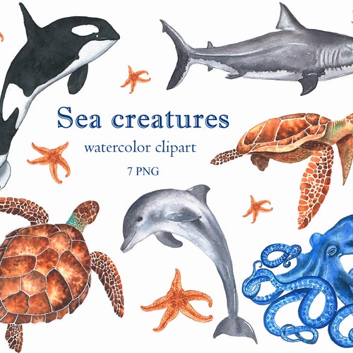 Watercolor Sea Creatures Clipart Set | Etsy