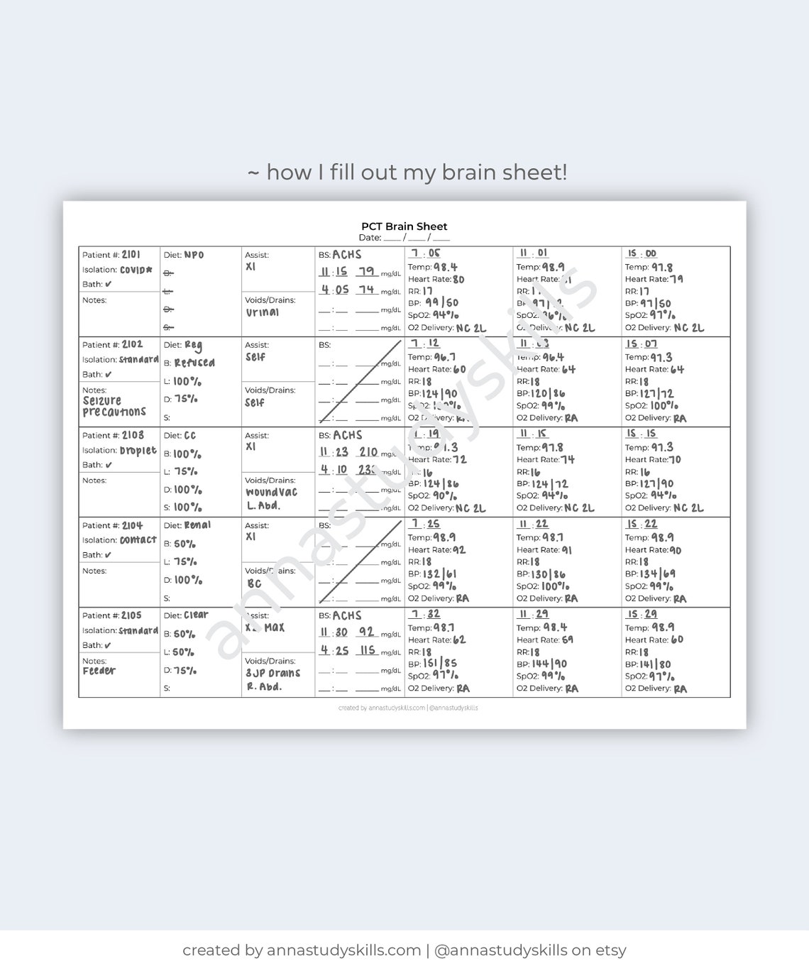 CNA Landscape Brain Sheet CNA Brain Sheet PCT Brain Sheet | Etsy