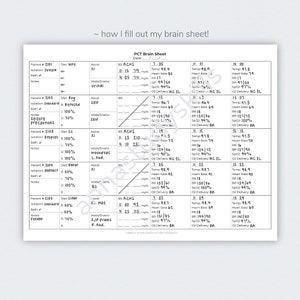 CNA Landscape Brain Sheet, CNA Brain Sheet, PCT Brain Sheet, Vital ...