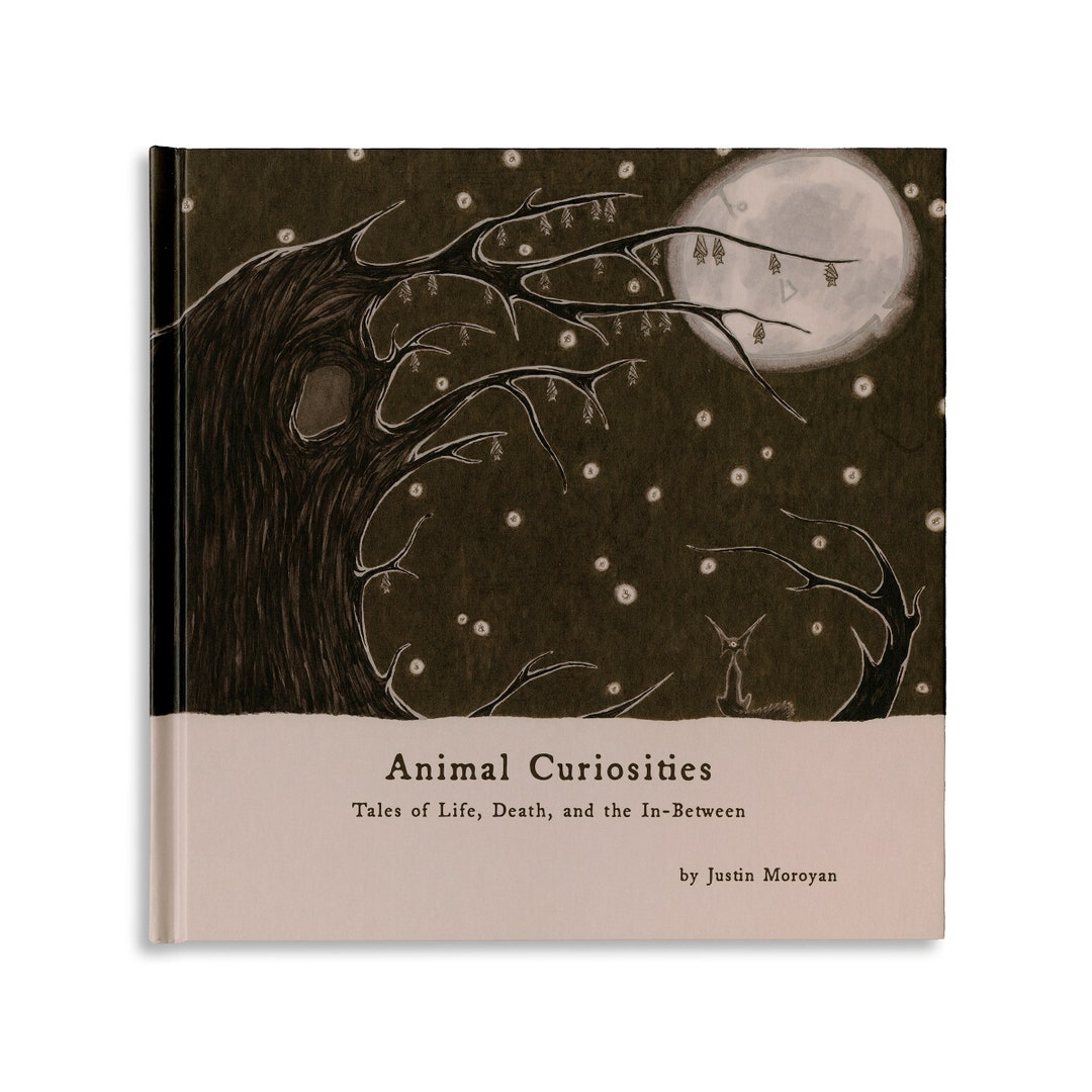 Animal Curiosities limited Edition A Darkly Whimsical Satirical ...