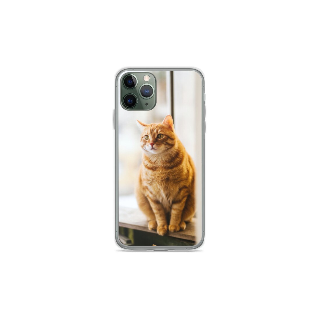 Creative Design Orange Cat Animal iPhone Case Cover for Mini, X,se, XR ...