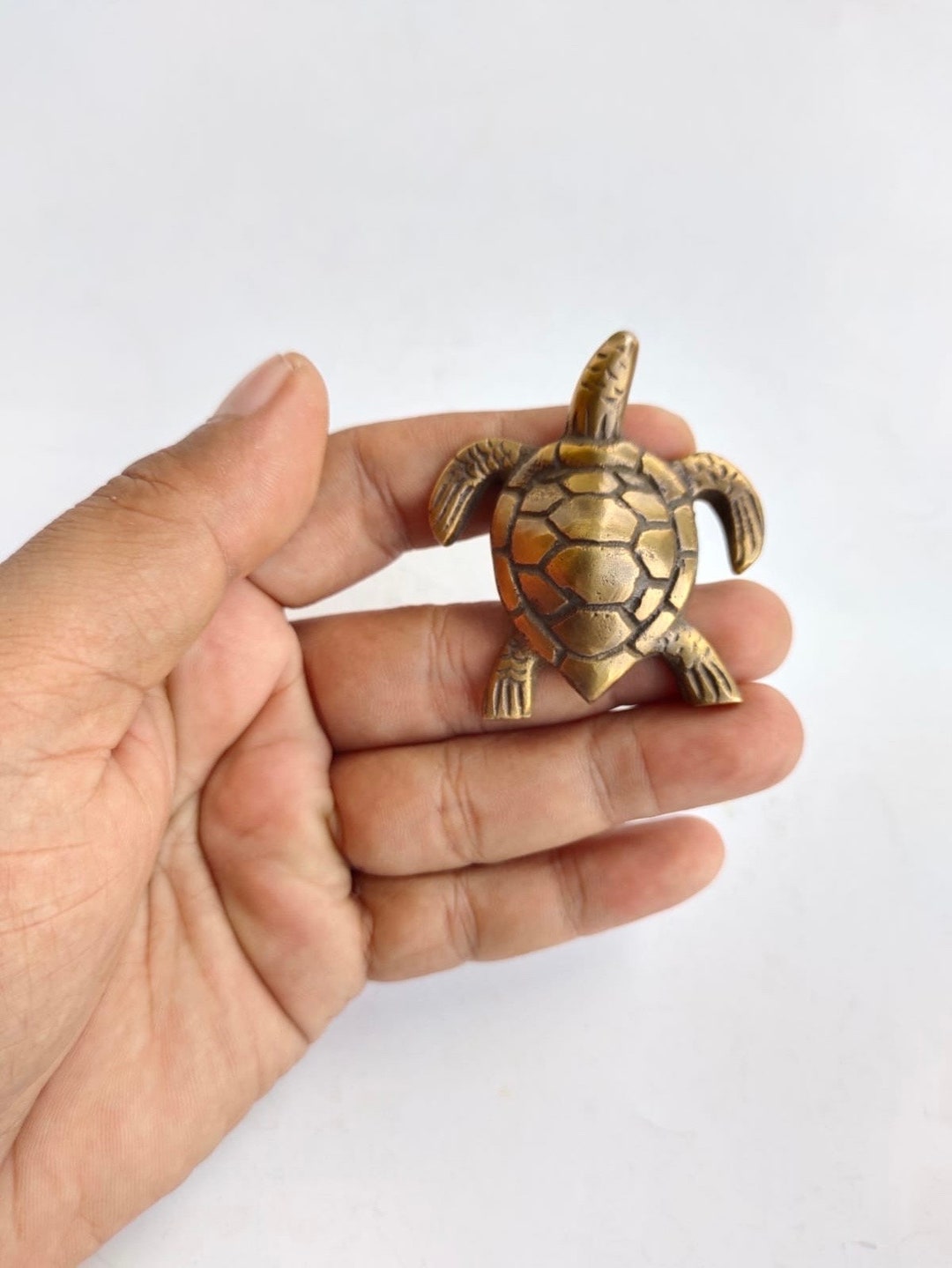 Brass Cute Tortoise Knobs - Cute Turtle Knobs - Brass Tortoise Pulls - Brass Tortoise Design ...