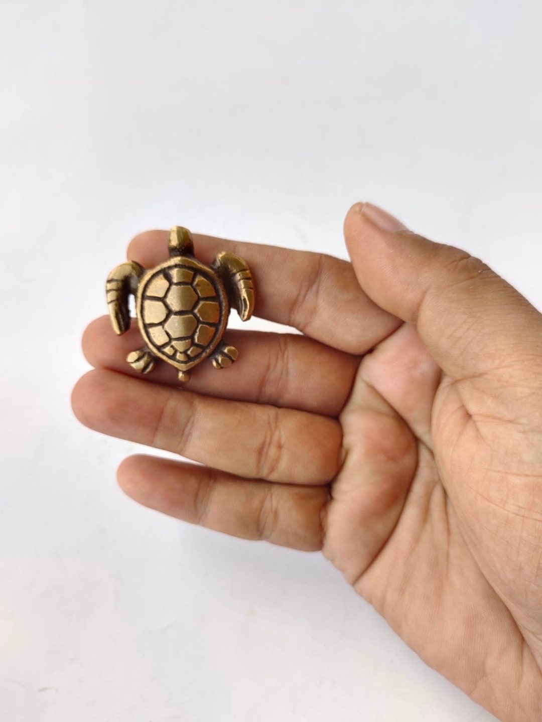 Brass Turtle Knobs - Cute Turtle Knobs - Brass Tortoise Pulls - Brass Tortoise Design - Turtle ...