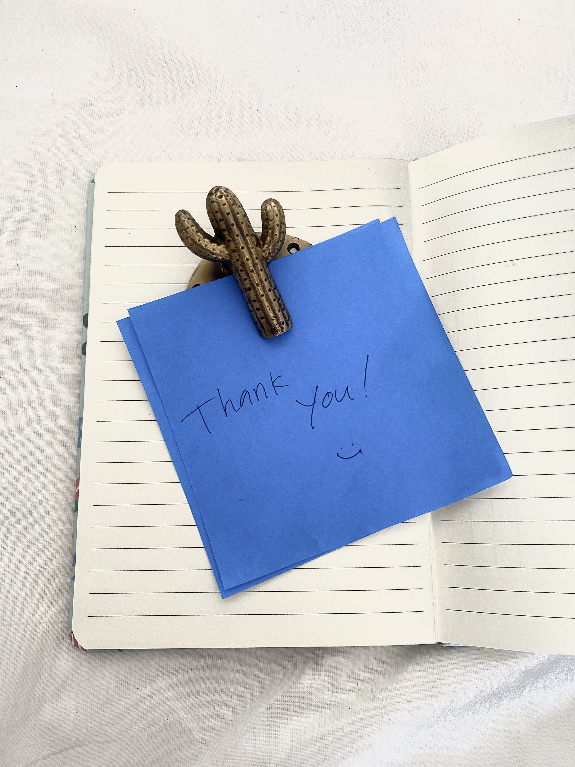 2 Pieces of Aesthetic Cactus Wall & Paperclip Brass Cactus Paperclip ...