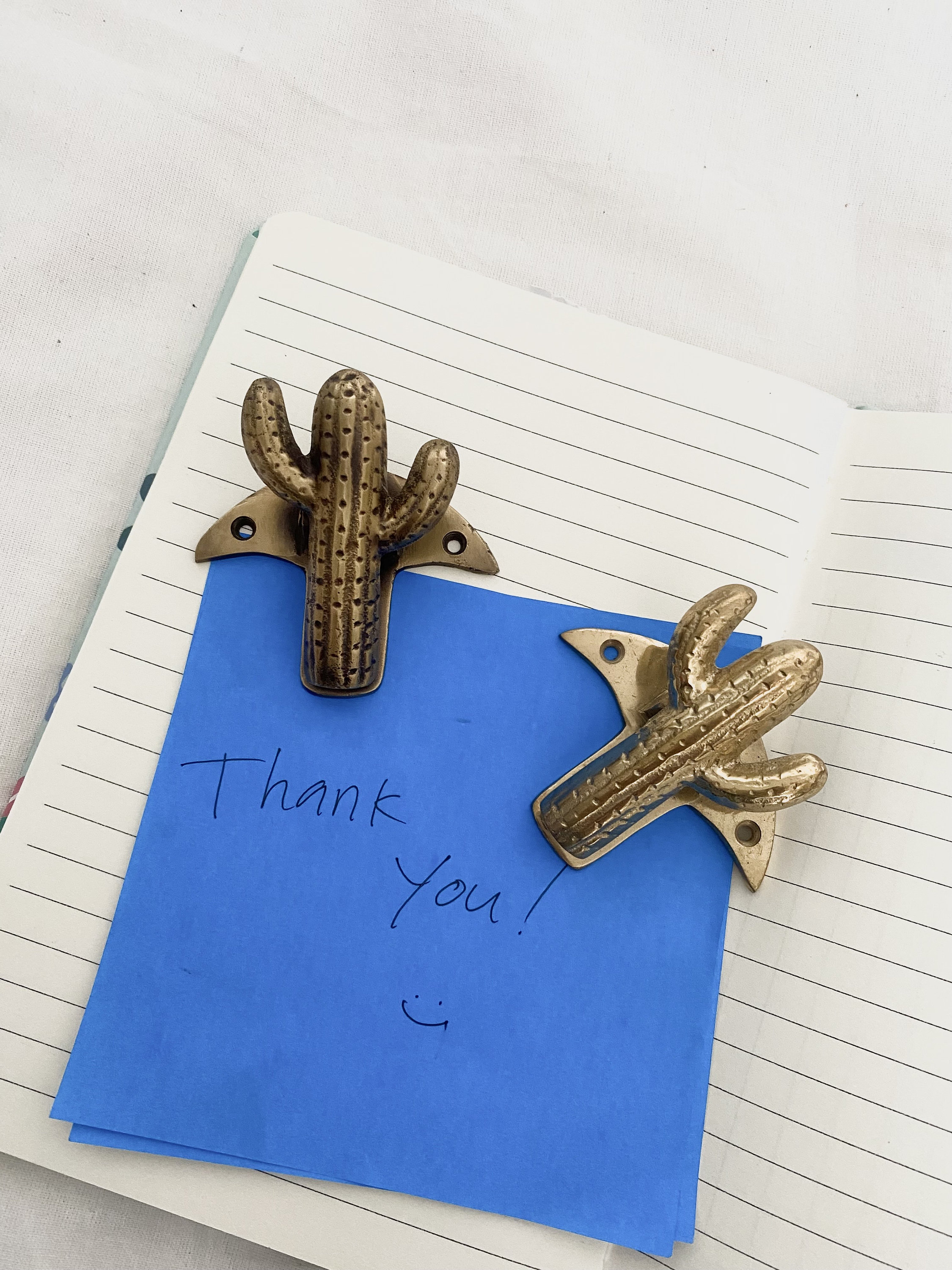 2 Pieces of Aesthetic Cactus Wall & Paperclip Brass Cactus Paperclip ...