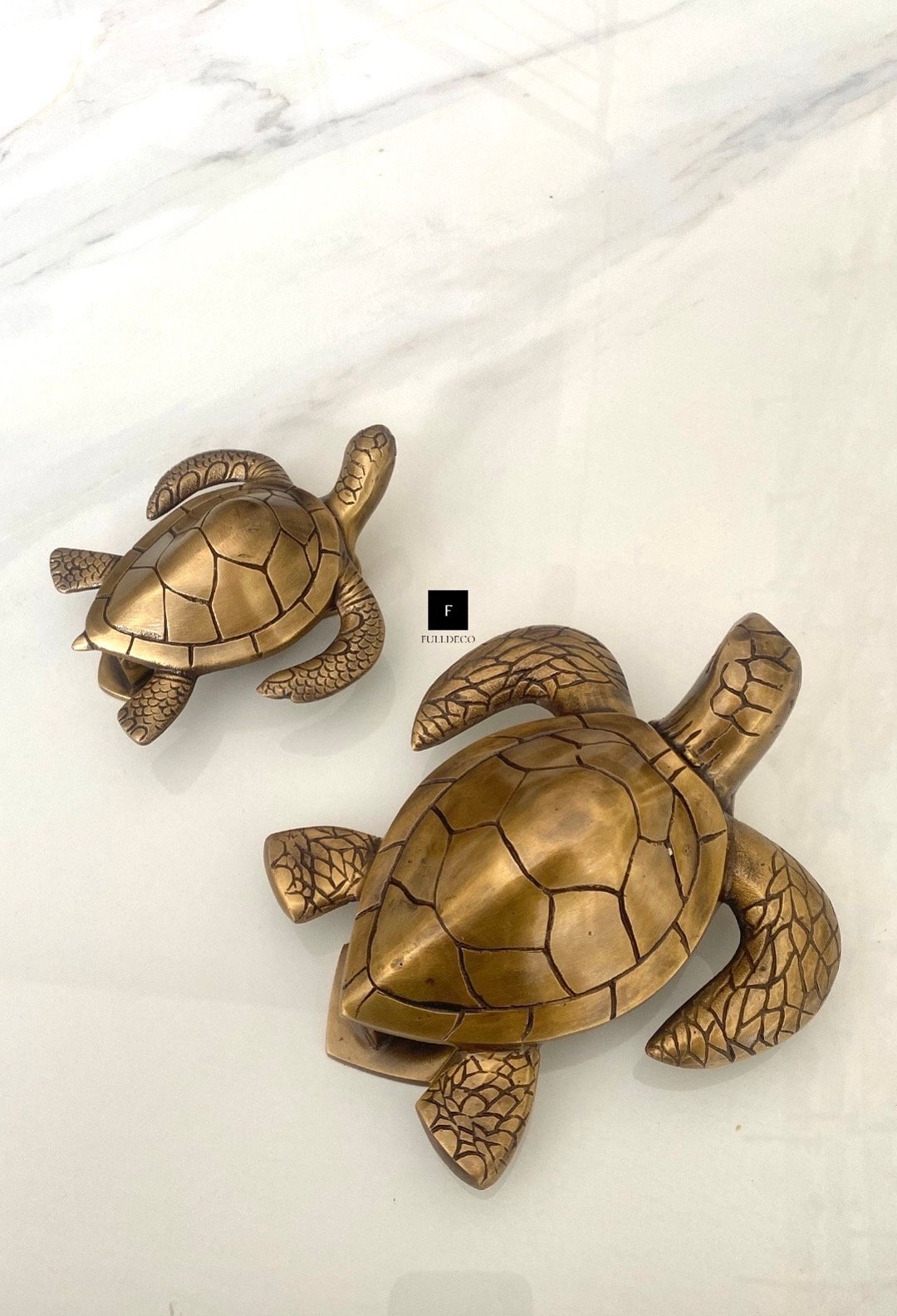 6.8” - 5.1” Turtle Brass Door Knocker - Cute Turtle Anchor Door Knocker ...