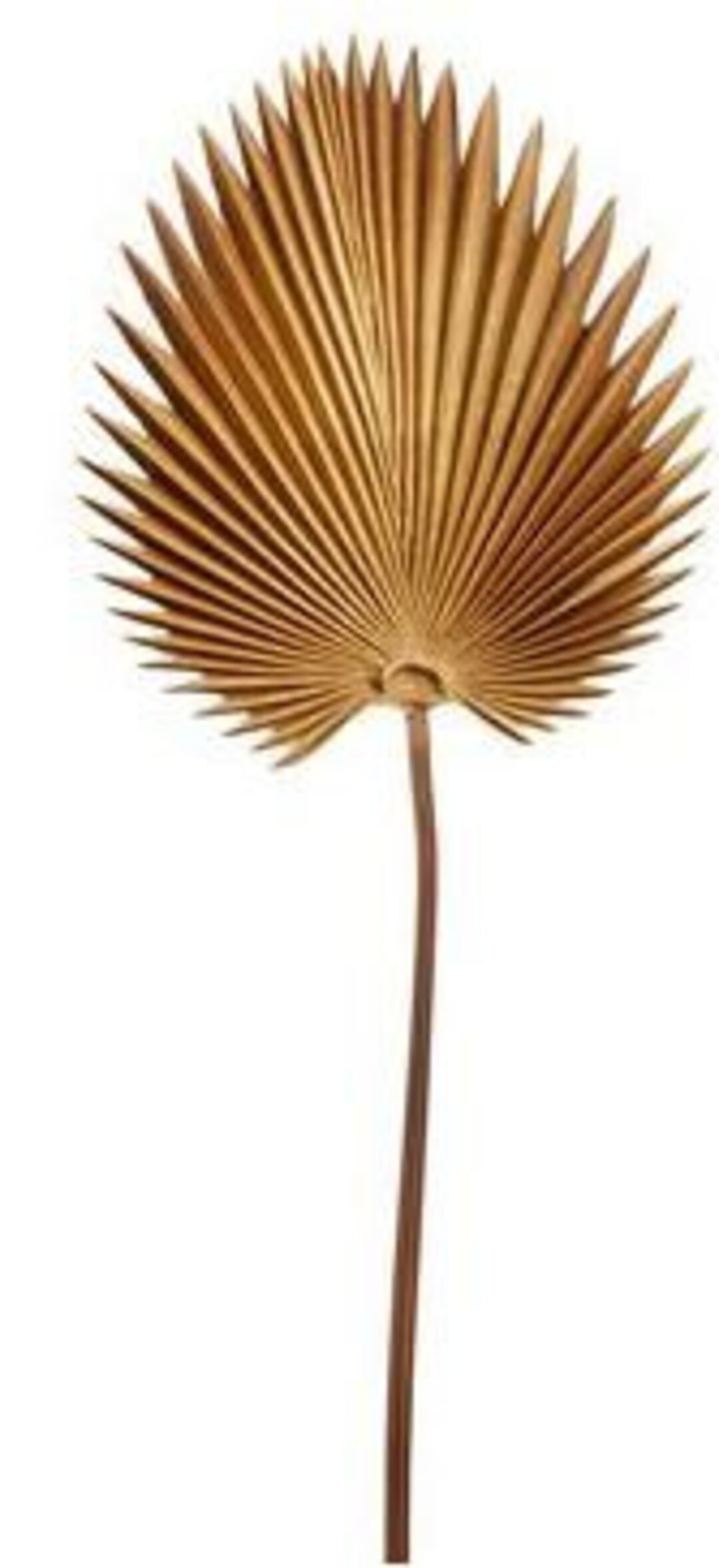 Brown Palm Leaf Spray, 29 In. - Etsy