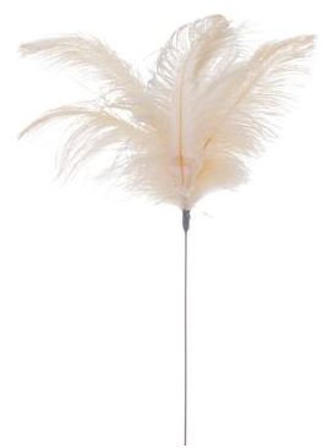 Vanilla Ostrich Feather Spray - Etsy
