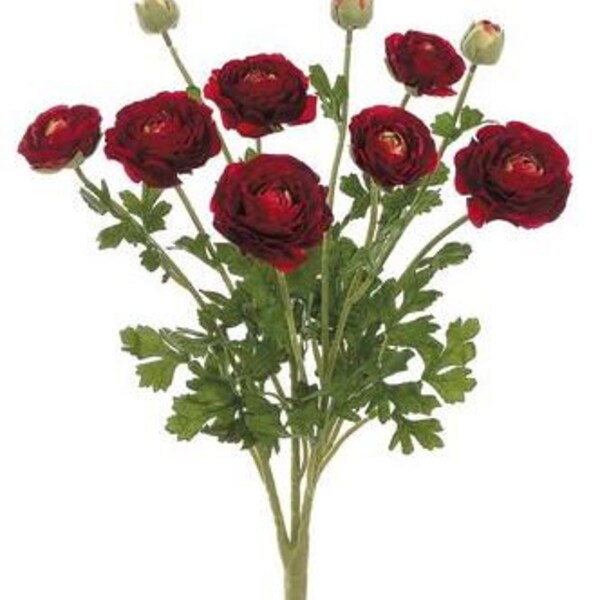 Silk Ranunculus - Etsy