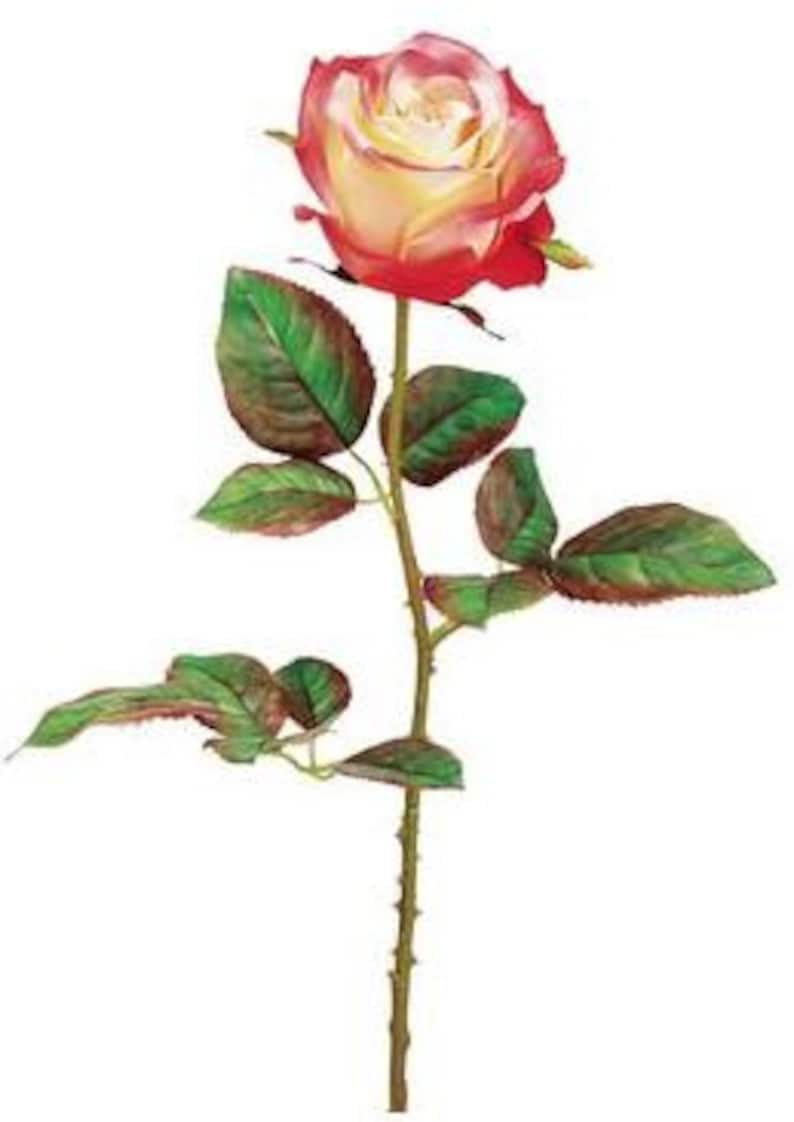 Rose Colored Silk Ecuador Rose Stem, 20.5 In. - Etsy