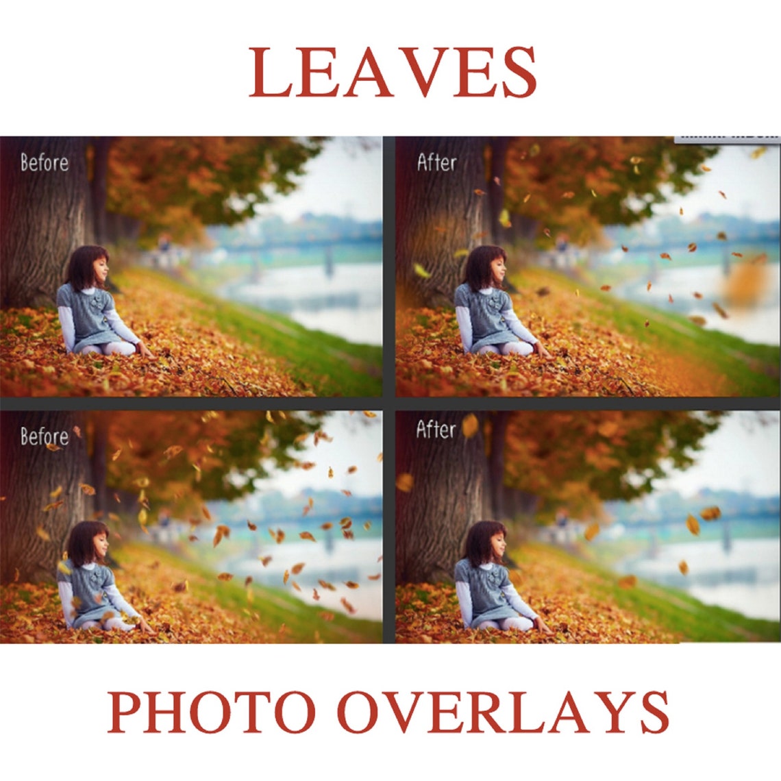 40 Autumn Leaves Overlay Falling Leaves Photoshop Overlays | Etsy