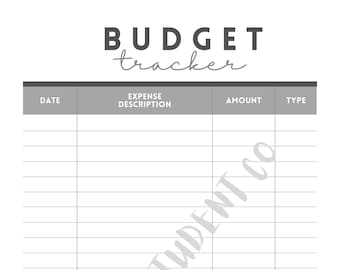 Colorful Budget Tracker - Etsy