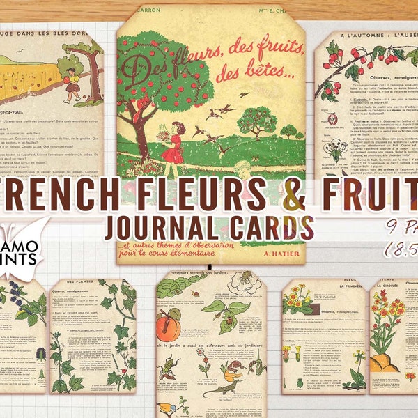 Antique French Flash Cards - Etsy